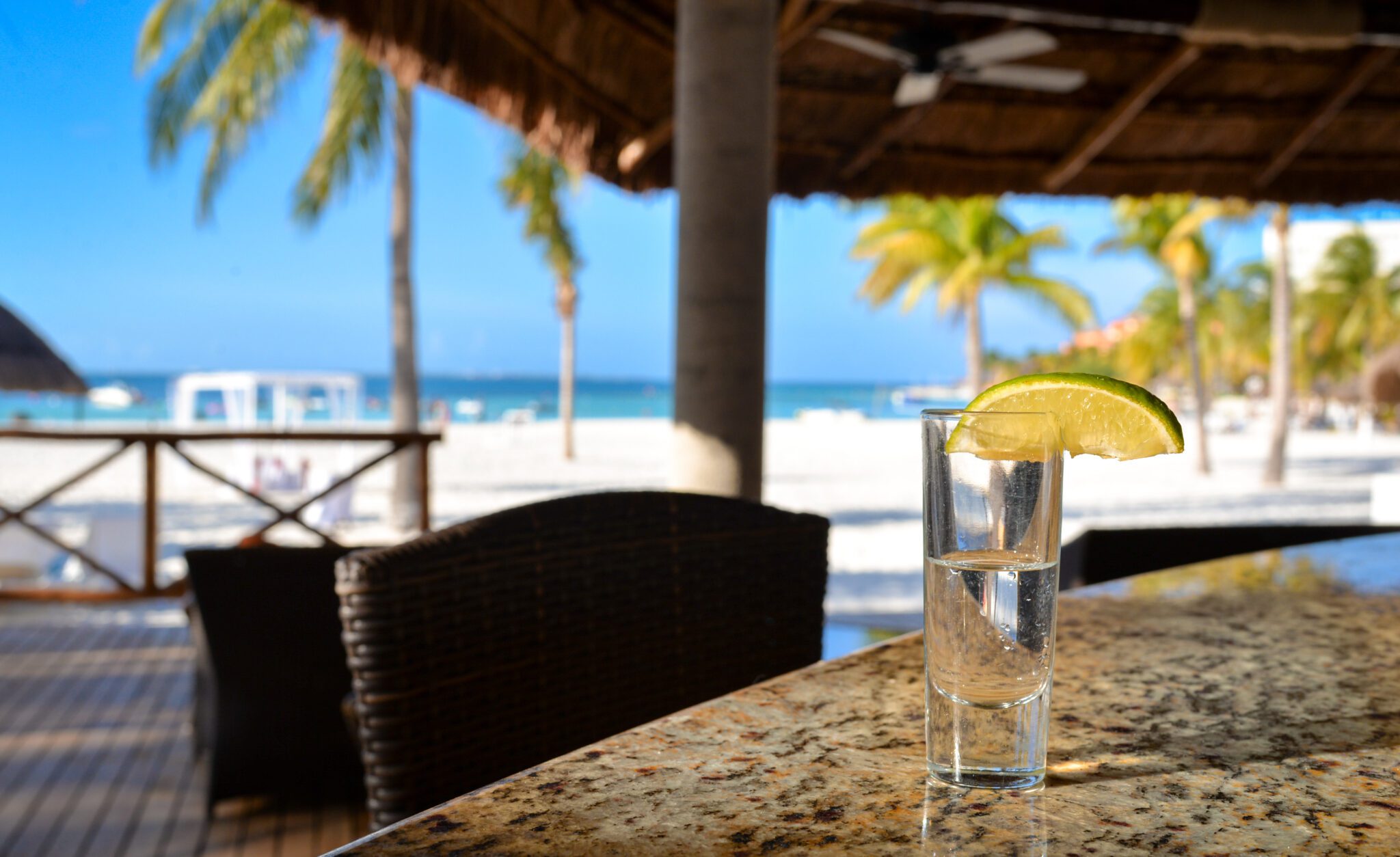 Popular Reposado Tequila Cocktails- AgaveLuz Organic Tequila