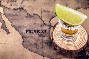 Authentic Organic Tequila Made In Mexico | AgaveLuz Tequila