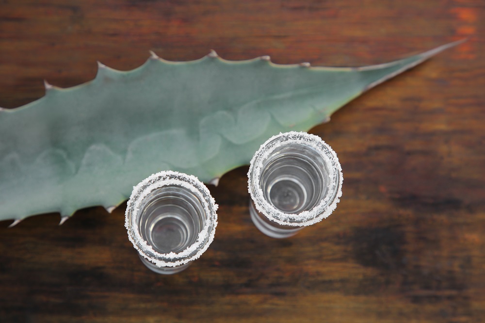 The Perfect Choice For Organic Tequila Martinis - AgaveLuz