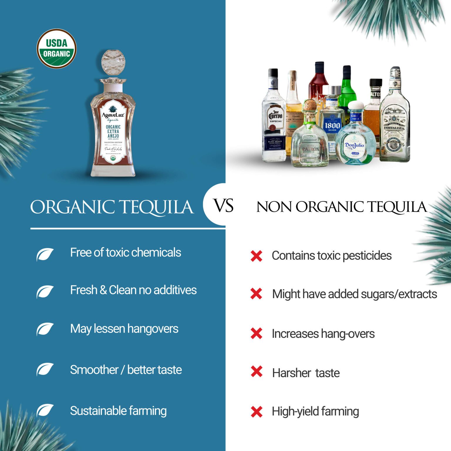 Experience The Best Agaveluz Organic Tequila