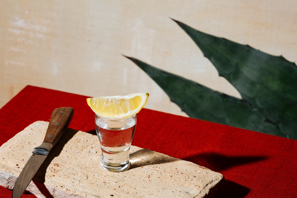 The best smooth organic tequila | Experience AgaveLuz
