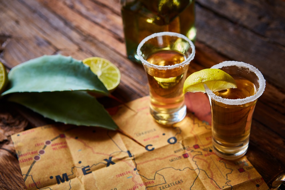 Your Source For The Best Tasting Organic Tequila | AgaveLuz