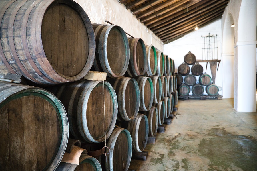 Discover How Tequila Is Made From Agave | The Best Guide