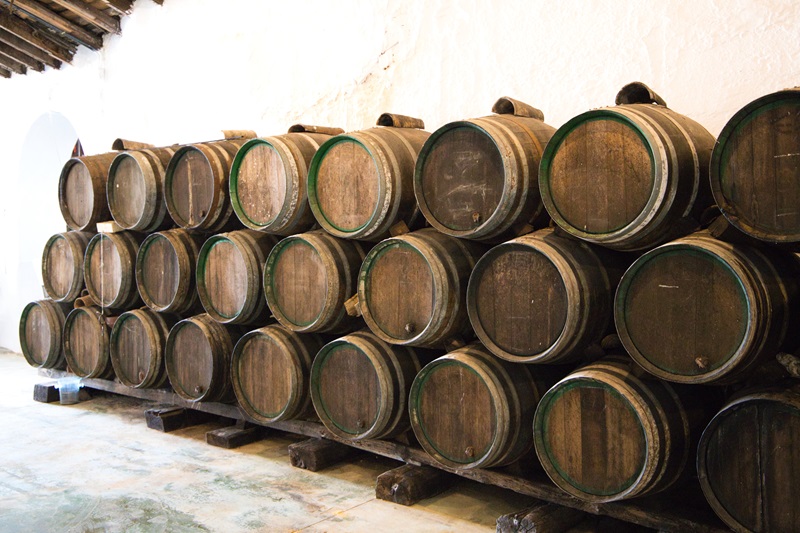 Embodying The Best Tequila Quality - Experience AgaveLuz