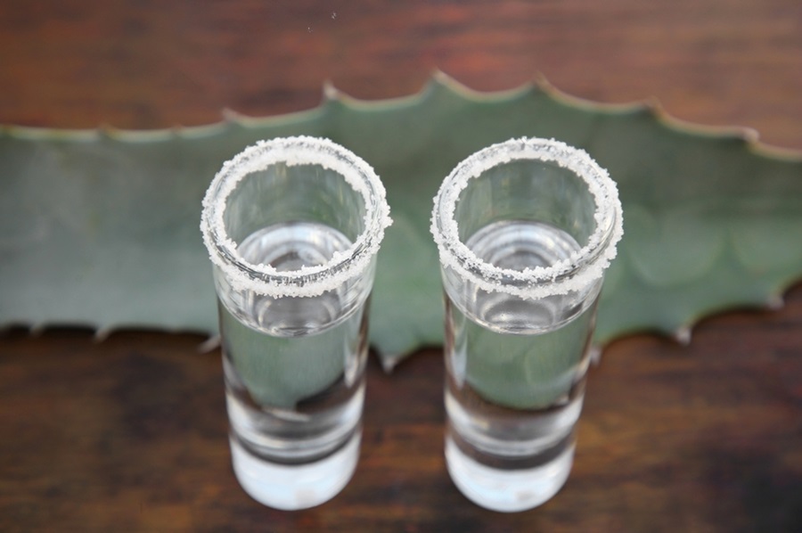 Discover AgaveLuz | Pure, Natural Tequila Crafted With Love