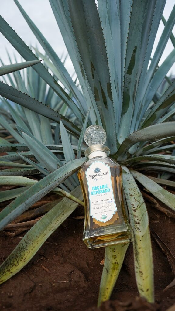 AgaveLuz Limited Edition Organic Tequila | Buy Now