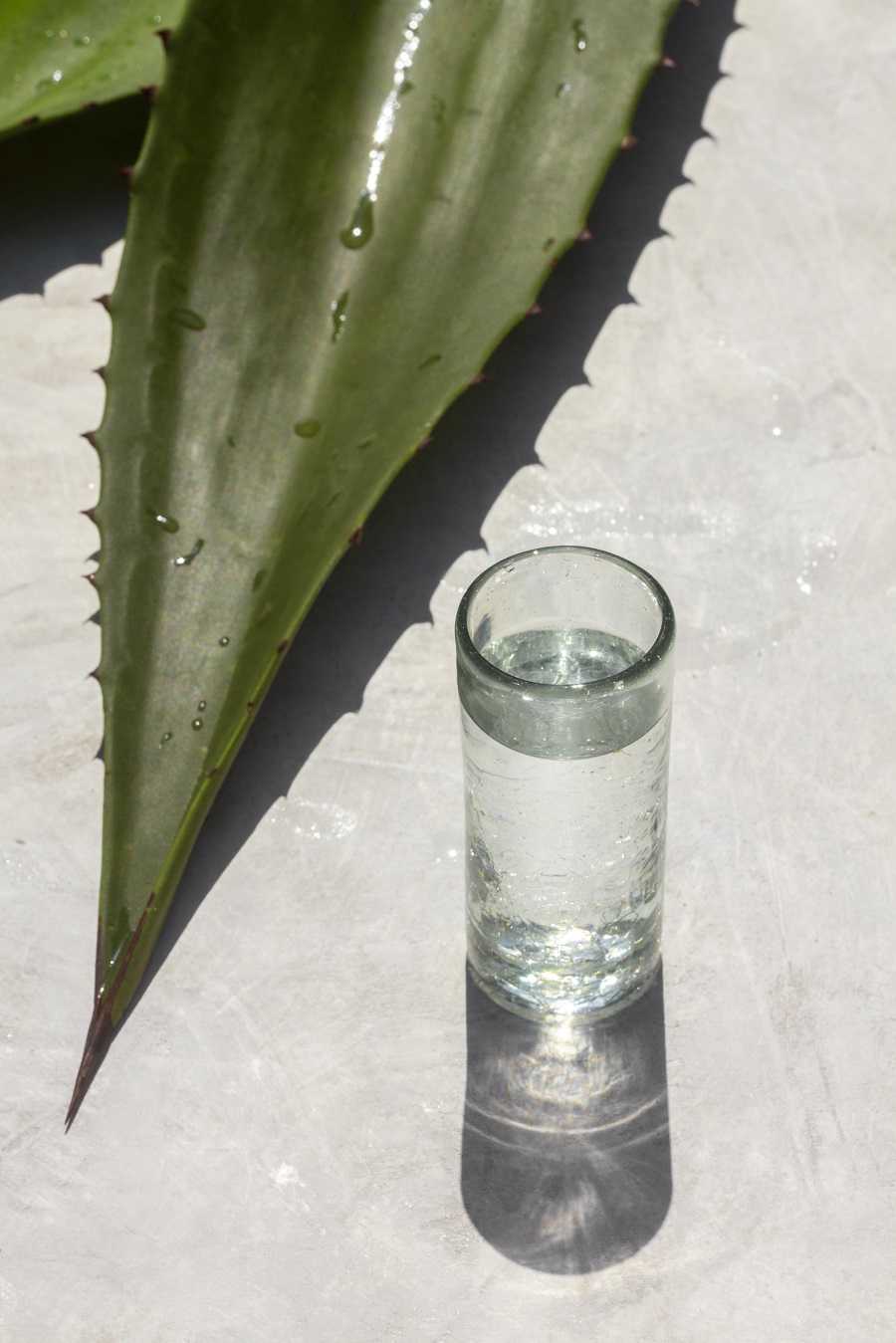 Discover The Best Clean Tequila | Pure And Premium AgaveLuz