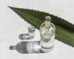 Discover The Best Clean Tequila | Pure And Premium AgaveLuz