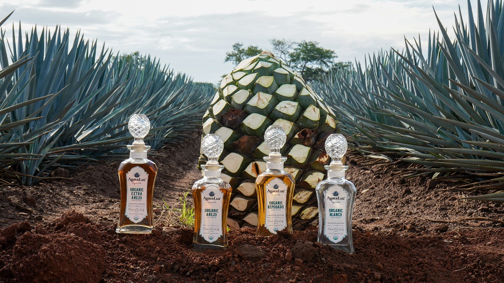 Premium Spirits With Organic Agave And Spring Water Tequila