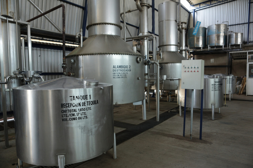 Find The Best Organic Tequila With AgaveLuz Organic Tequila