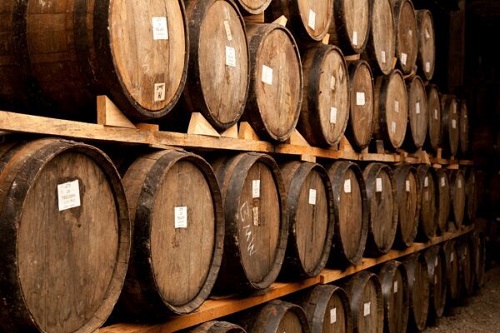 Your Premium Natural Tequila Crafted For Excellence At AgaveLuz